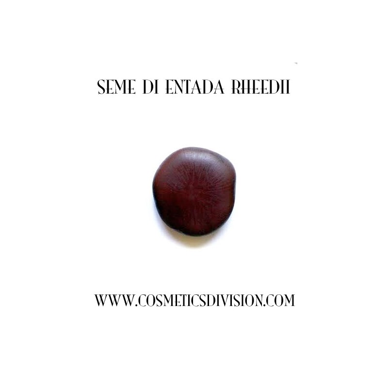 ENTADA RHEEDII , oneirogeno, sciamanico, erba dei sogni, erbe magiche-zhosa